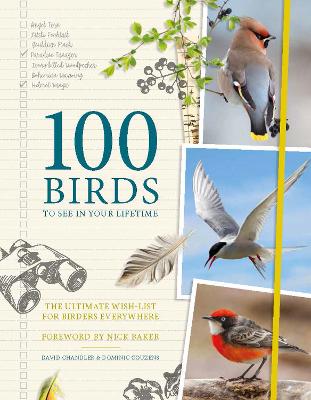 100 Birds To See In Your Lifetime [2024] – Chapters Bookstore