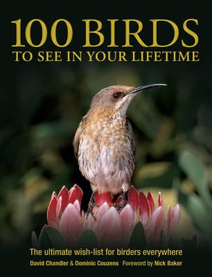 David Chandler: 100 Birds to See in Your Lifetime [2011] paperback ...
