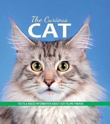 Fern Collins: The Curious Cat [2017] paperback – Chapters Bookstore